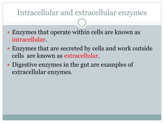 Enzymes revision | PPT