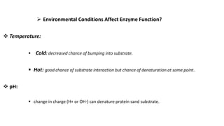 Enzymes the biological catalysts of life | PPTX