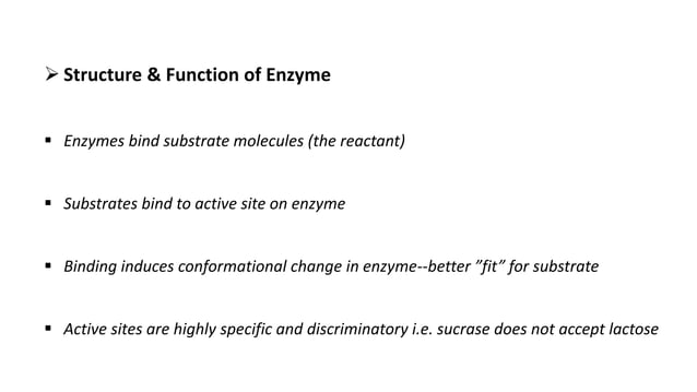 Enzymes the biological catalysts of life | PPTX | Chemistry | Science