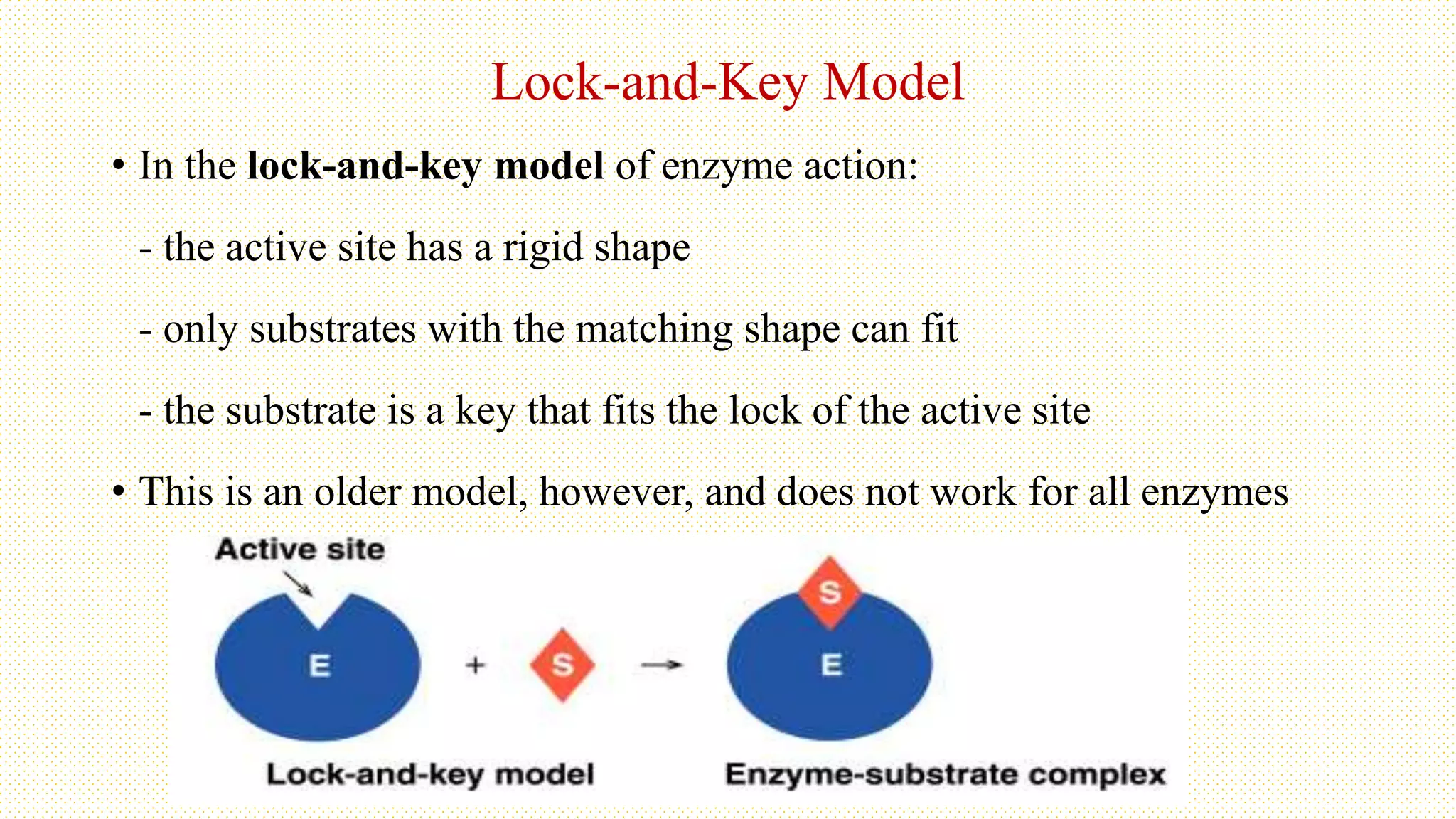 Enzyme structure and Mechanism of Action | PPTX