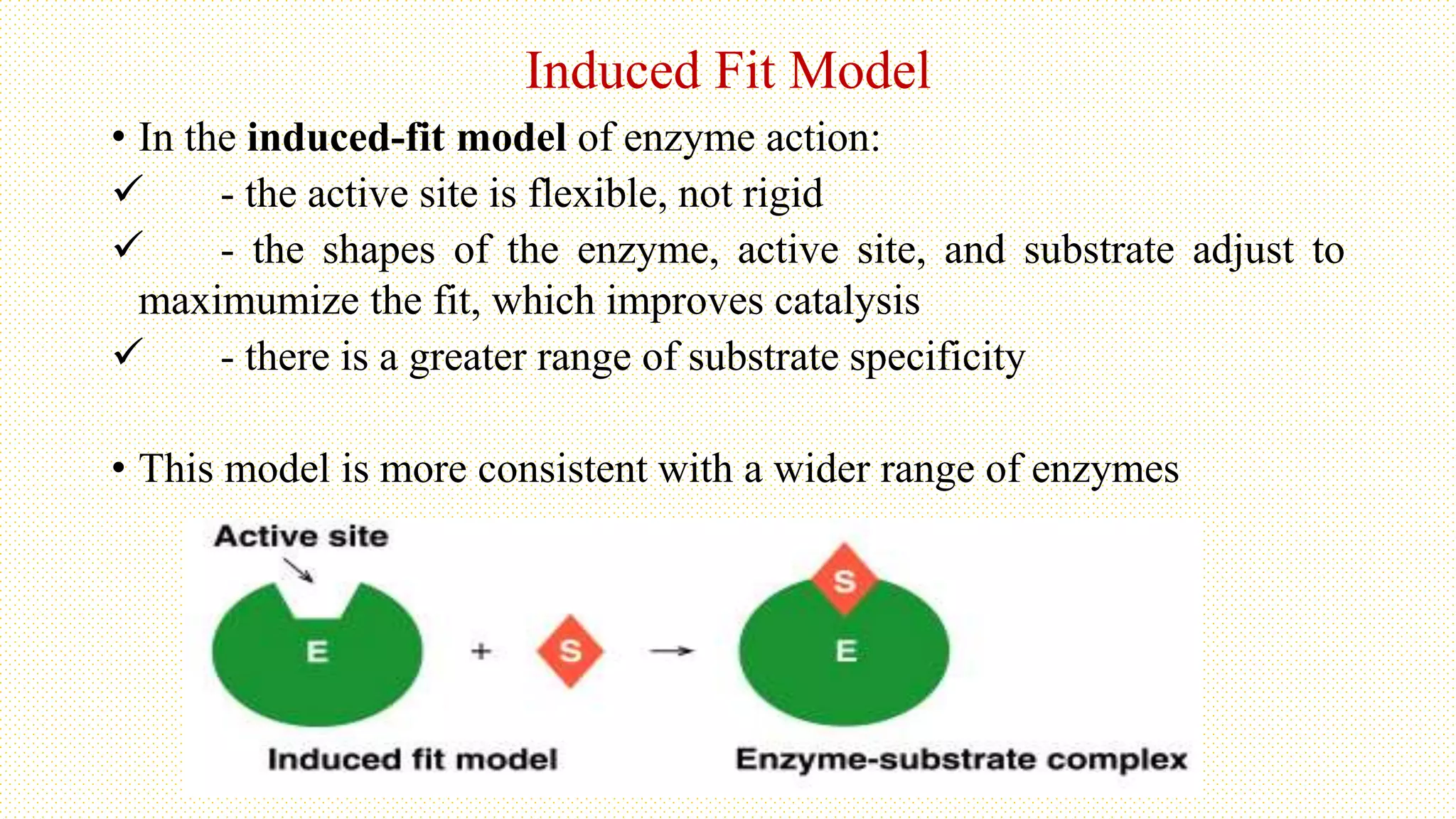 Enzyme structure and Mechanism of Action | PPTX