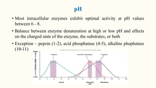 Enzyme structure and Mechanism of Action | PPTX