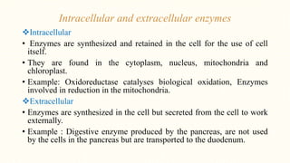 Enzyme structure and Mechanism of Action | PPTX