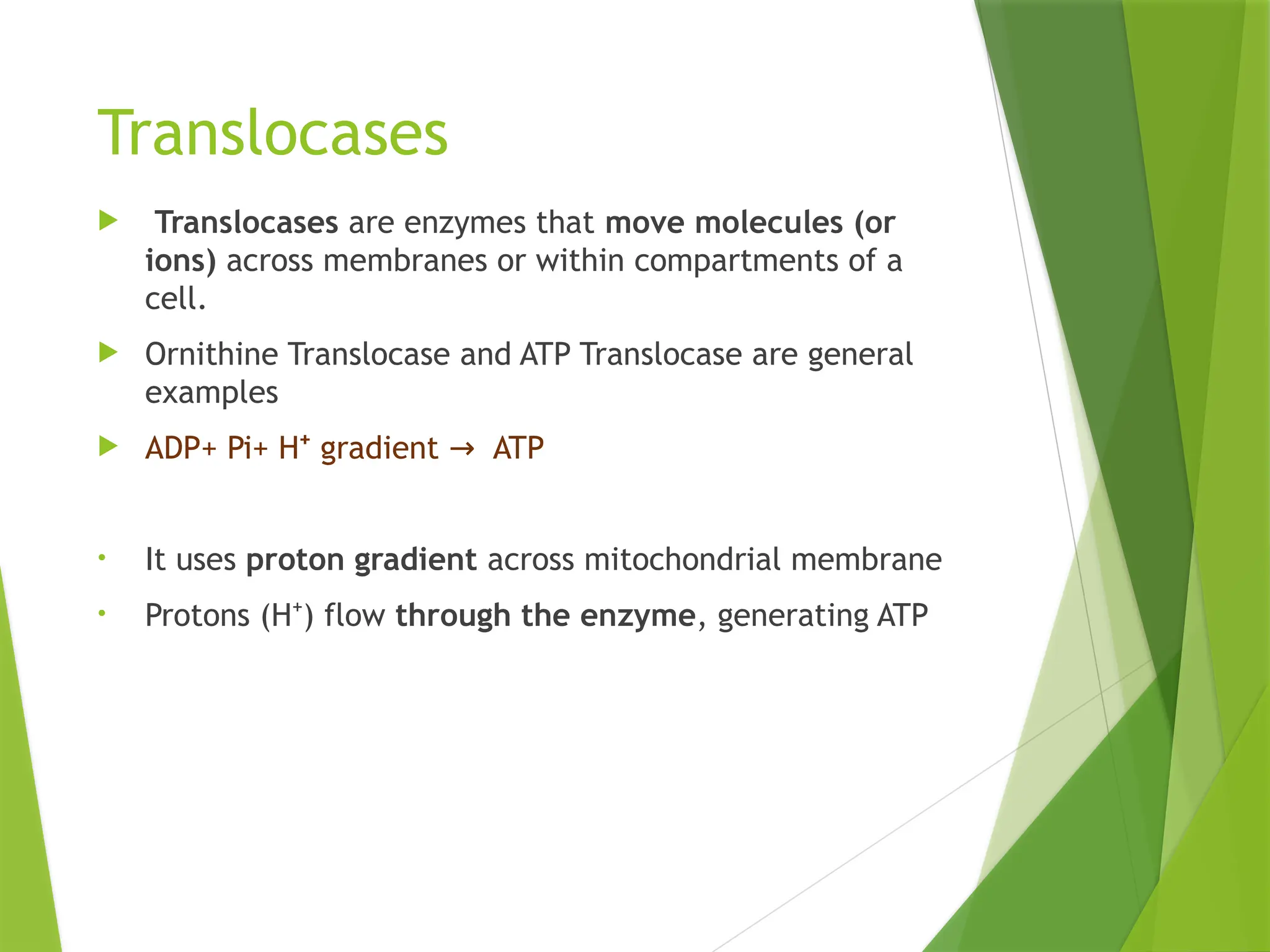 Enzyme_Structure and_Function [Autosaved]-1.pptx