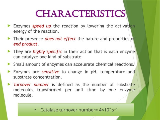 Enzyme_Structure and_Function [Autosaved]-1.pptx