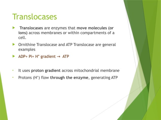 Enzyme_Structure and_Function [Autosaved]-1.pptx