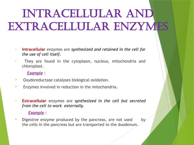 Enzyme_Structure and_Function [Autosaved]-1.pptx