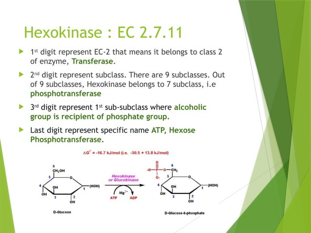Enzyme_Structure and_Function [Autosaved]-1.pptx