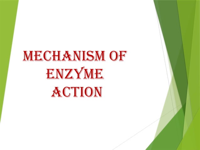 Enzyme_Structure and_Function [Autosaved]-1.pptx