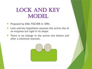 Enzyme_Structure and_Function [Autosaved]-1.pptx