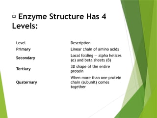 Enzyme_Structure and_Function [Autosaved]-1.pptx