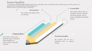 Enzymes-Biochemistry | PPTX