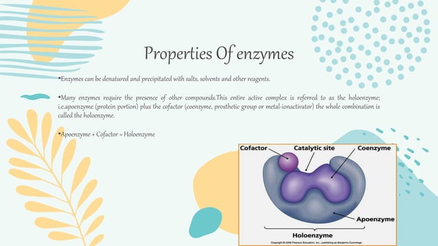 Enzymes-Biochemistry | PPT