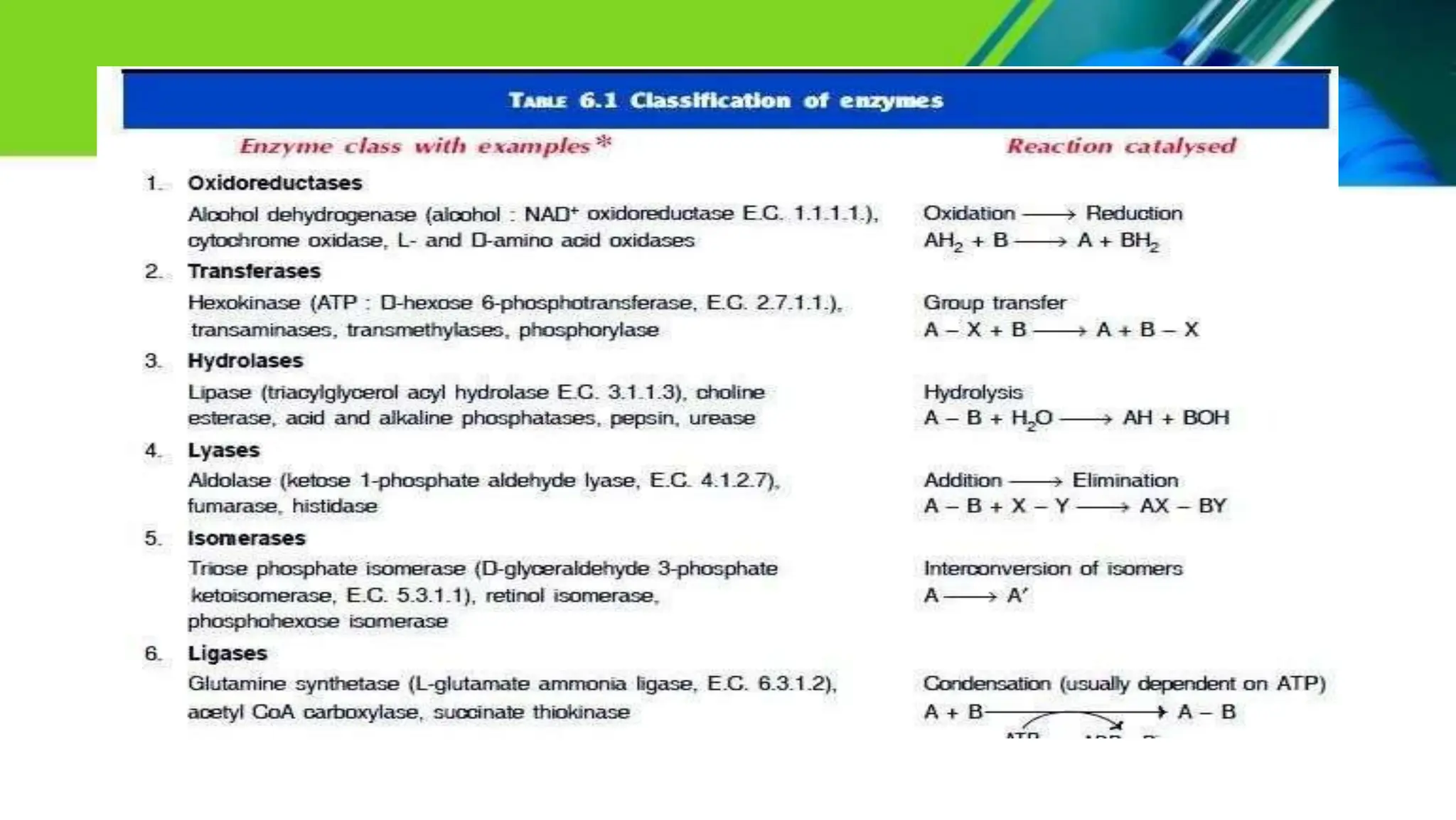 POINT- BIOCHEMISTRY SEM 2 ENZYMES UNIT 5.pptx