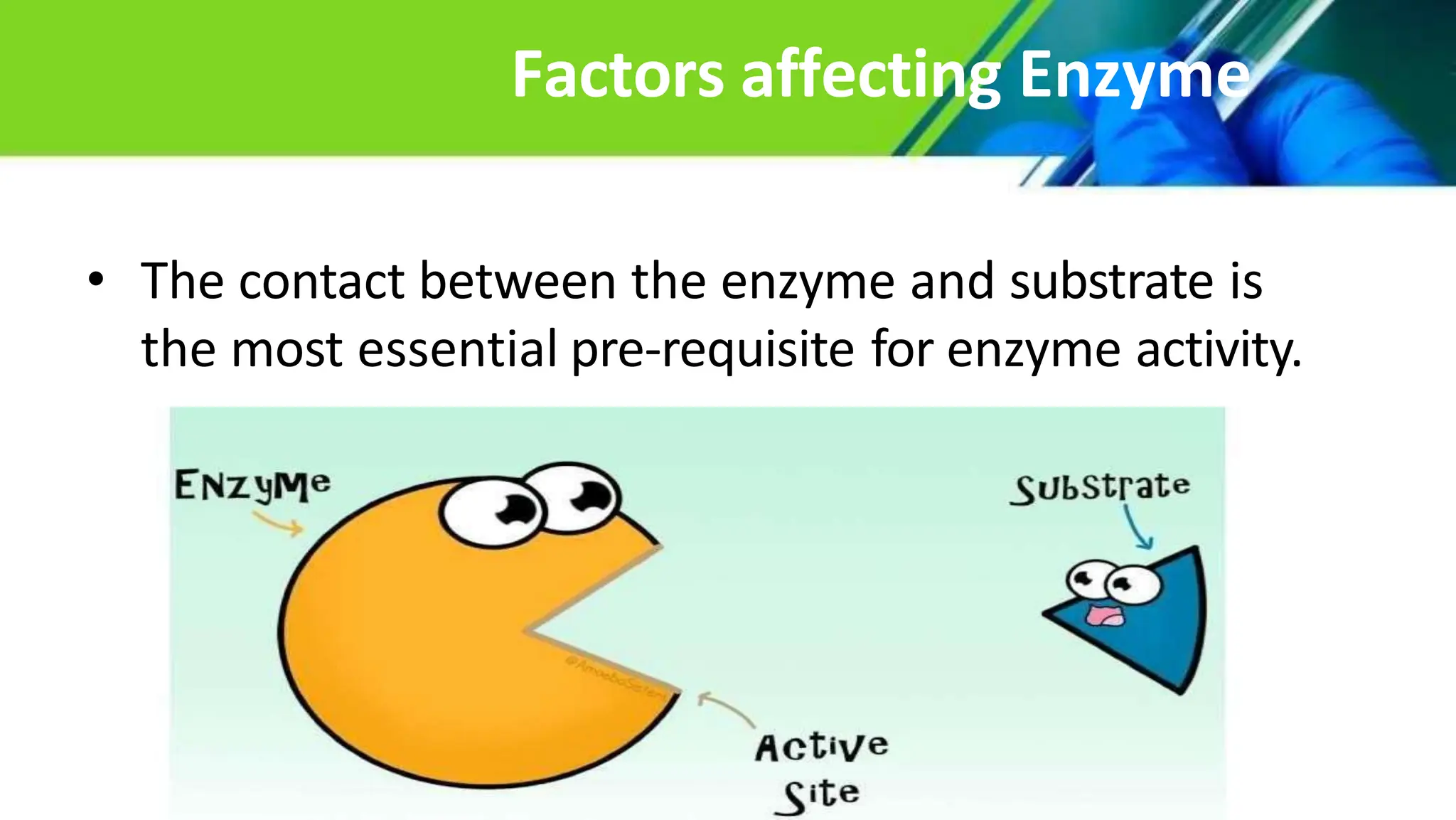 POINT- BIOCHEMISTRY SEM 2 ENZYMES UNIT 5.pptx