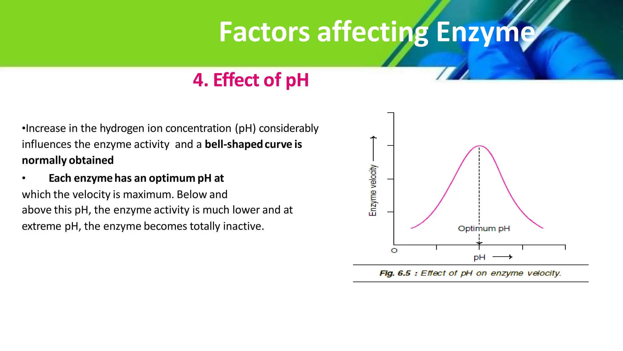 POINT- BIOCHEMISTRY SEM 2 ENZYMES UNIT 5.pptx