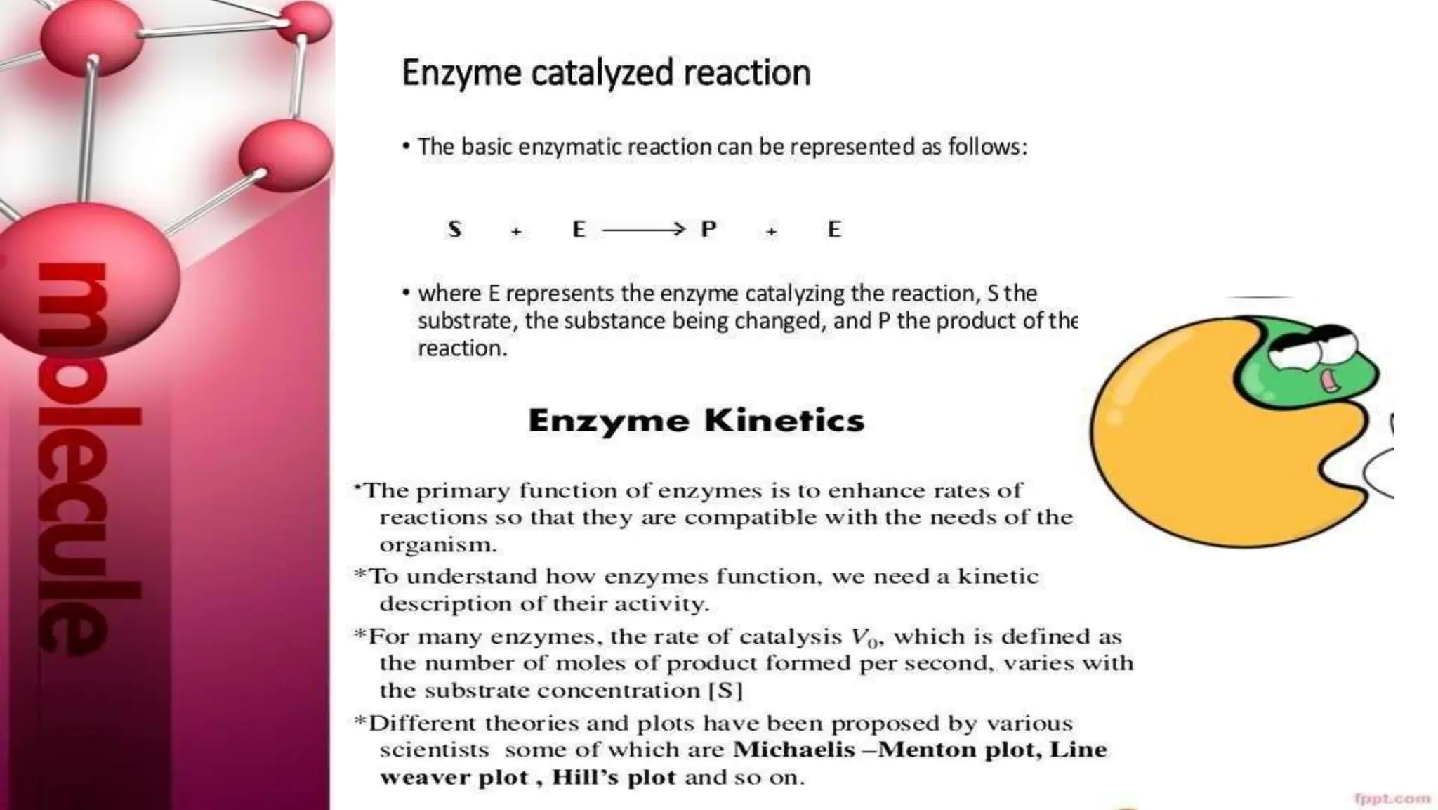 POINT- BIOCHEMISTRY SEM 2 ENZYMES UNIT 5.pptx