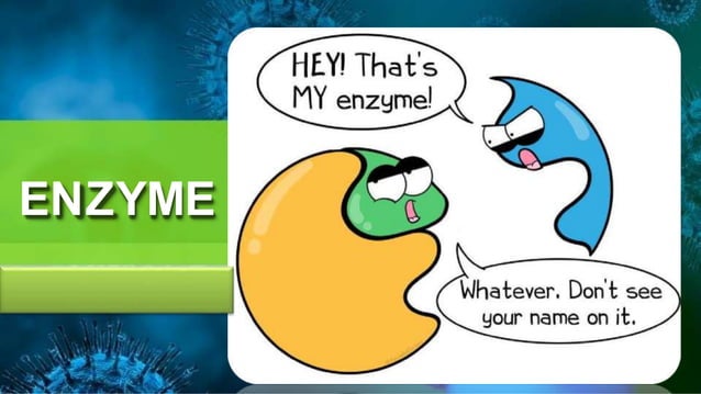 POINT- BIOCHEMISTRY SEM 2 ENZYMES UNIT 5.pptx | Chemistry | Science