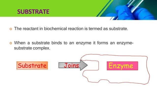 POINT- BIOCHEMISTRY SEM 2 ENZYMES UNIT 5.pptx | Chemistry | Science