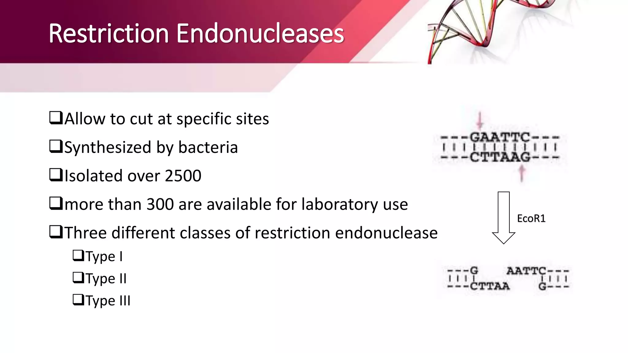 Enzymes used for cloning techniques | PPTX