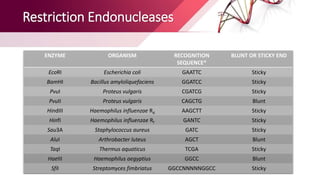 Enzymes used for cloning techniques | PPTX
