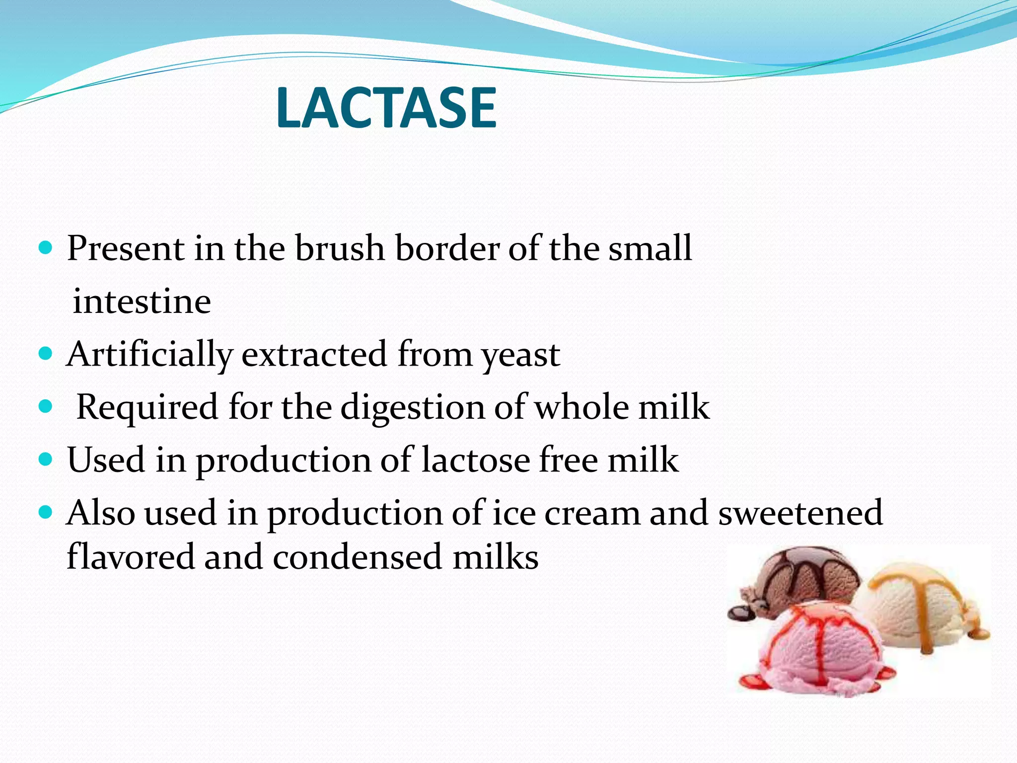 Enzymes used in food industry | PPTX