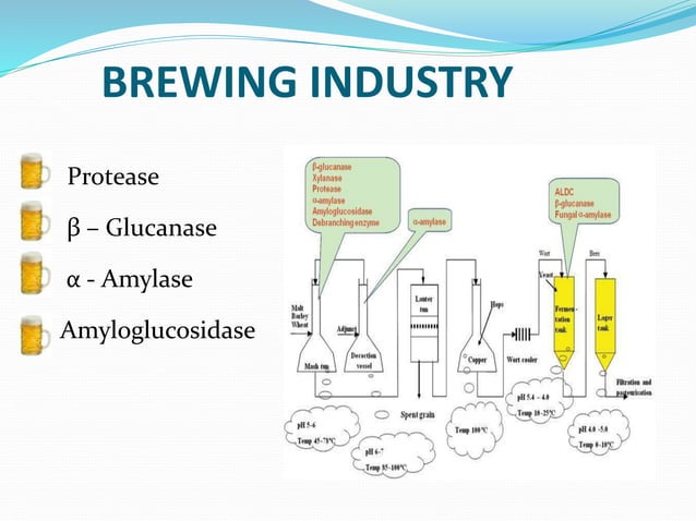 Enzymes used in food industry | PPTX