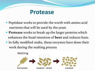 Enzymes used in food industry | PPTX