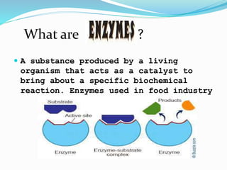 Enzymes used in food industry | PPTX