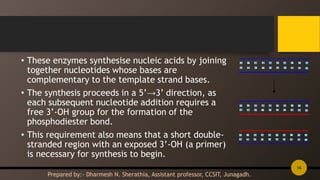 Enzymes used in genetic engineering | PPTX