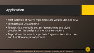 Enzymes used in genetic engineering | PPTX
