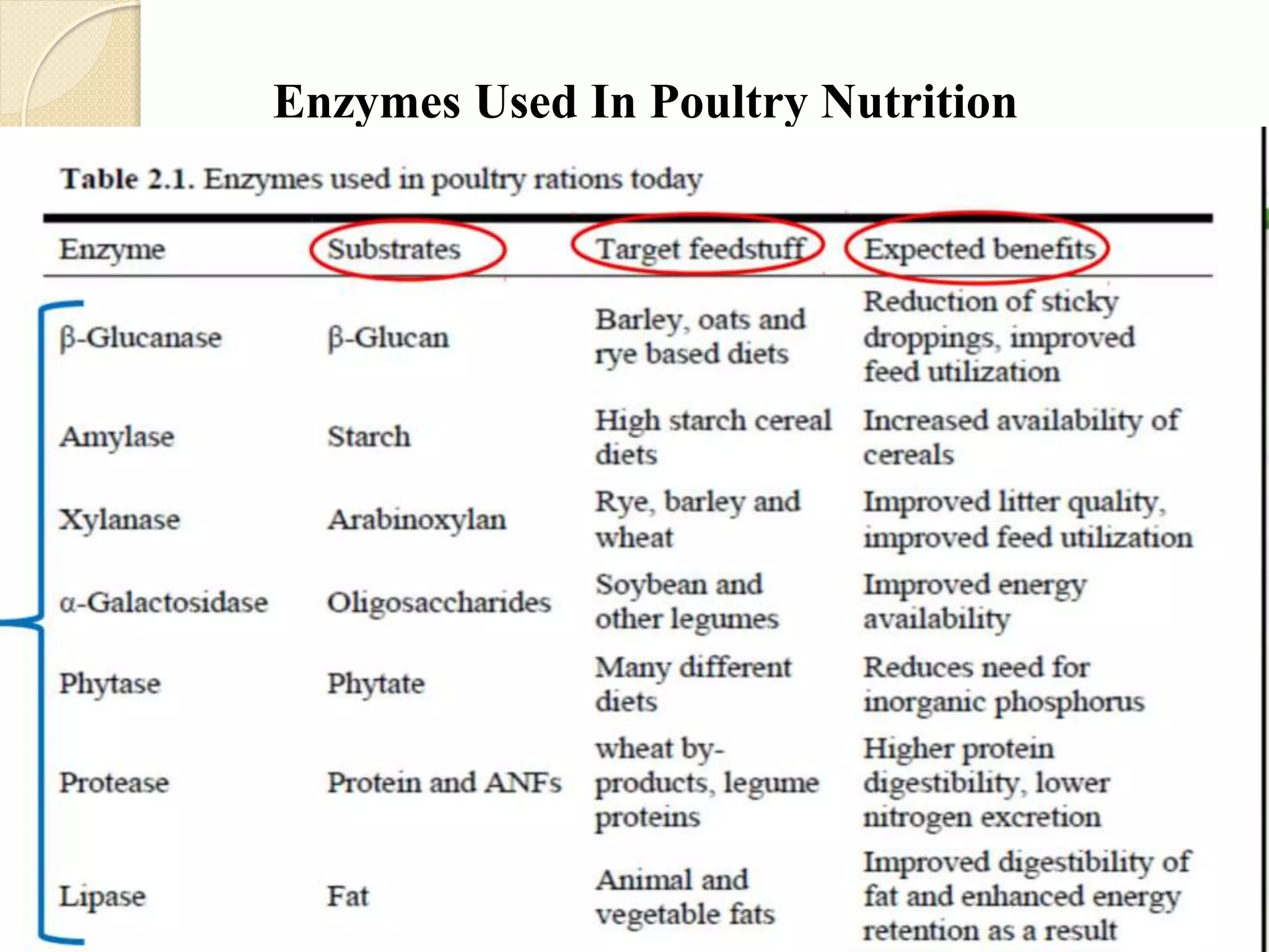 Enzymes used in poultry and ruminant nutrition | PPTX