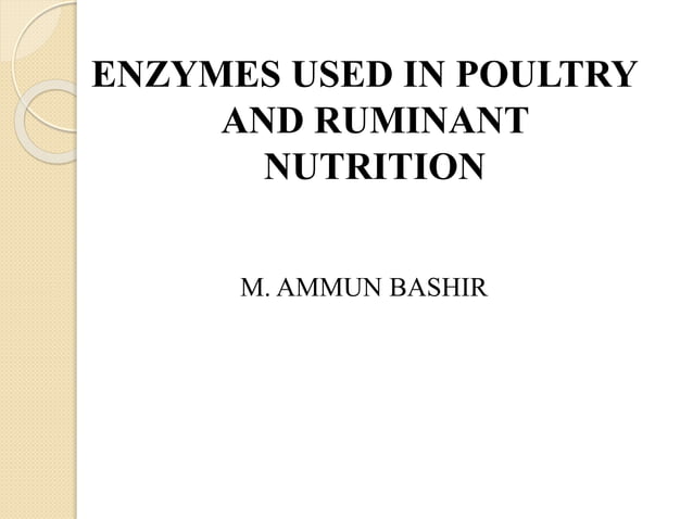 Enzymes used in poultry and ruminant nutrition | PPTX | Digestive ...