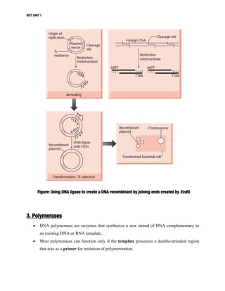 Enzymes used in RDT | PDF