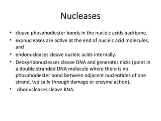 ENZYMES USED IN RDT notes for Recombinant DNA .pptx