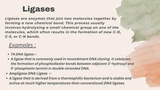 Enzymes used in Recombinant DNA technology | PDF