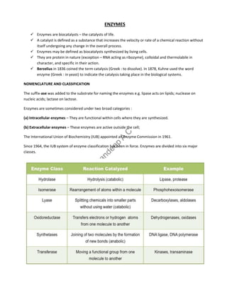 Enzymes notes, enzyme chapter | PDF