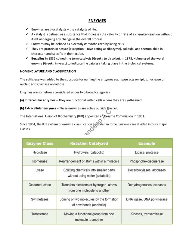 Enzymes notes, enzyme chapter | PDF
