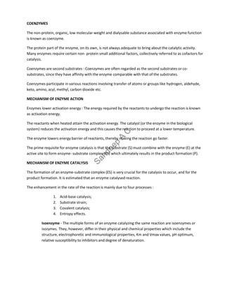 Enzymes notes, enzyme chapter | PDF