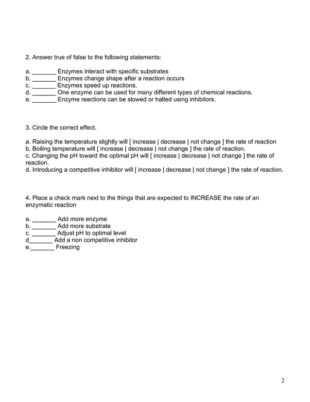 Enzymes Worksheet | DOC