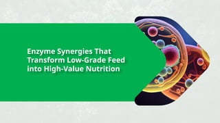 Enzymatic transformation of low-grade feed into high-value nutrition | PPTX