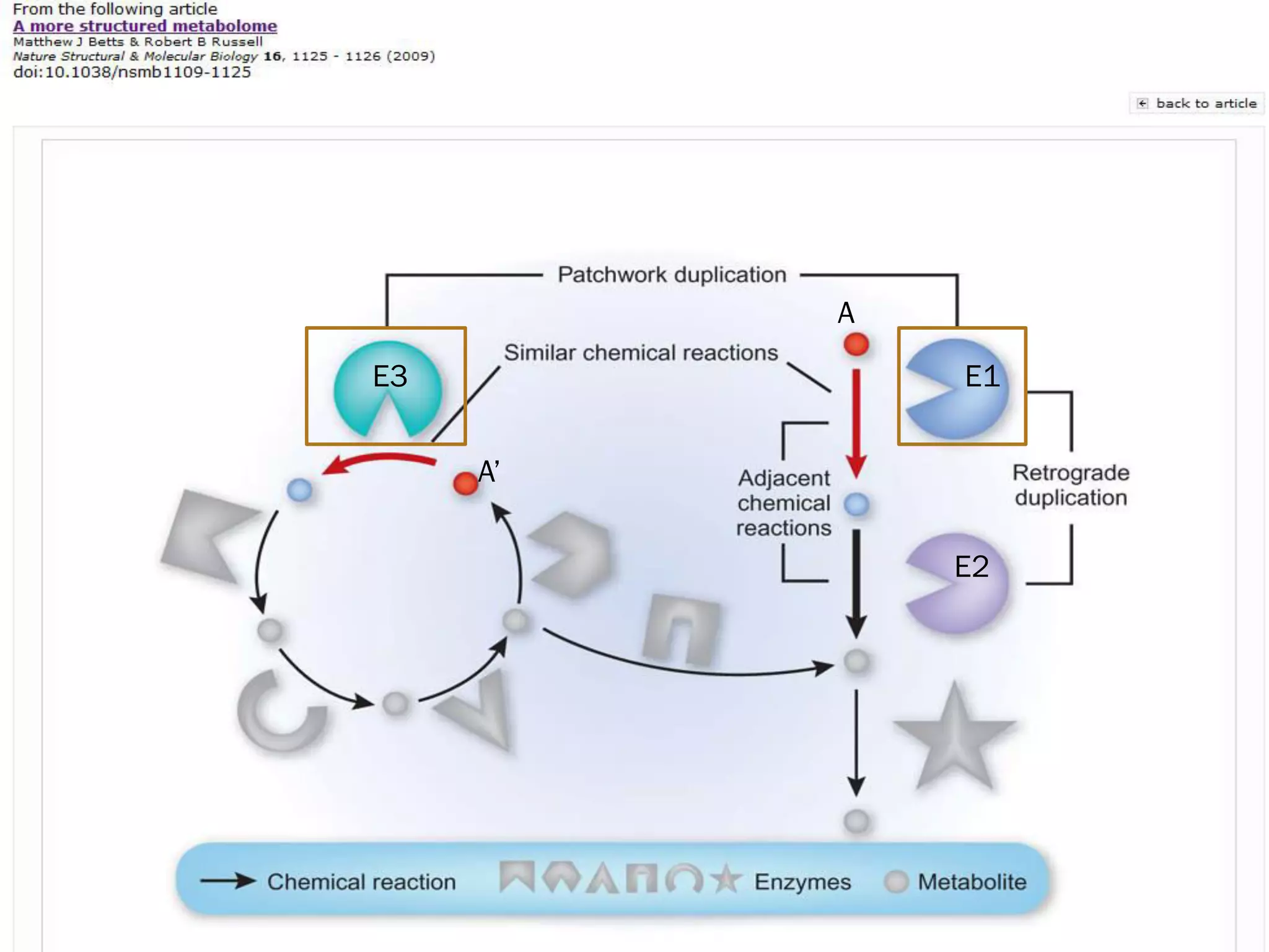Enzyme system evolution | PDF