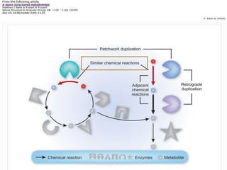 Enzyme system evolution | PDF