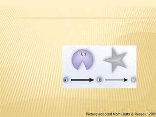 Enzyme system evolution | PDF