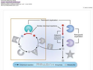 Enzyme system evolution | PPT
