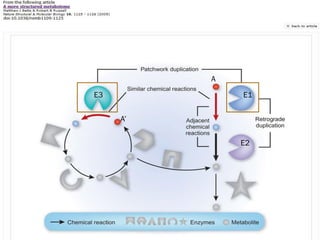 Enzyme system evolution | PPT