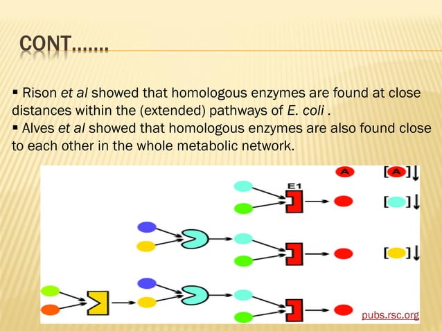 Enzyme system evolution | PPT