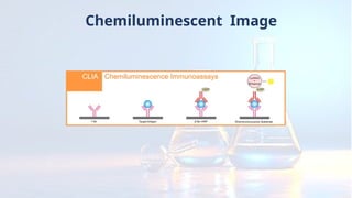 Enzyme assay (Continuous Enzyme Assays).PPT