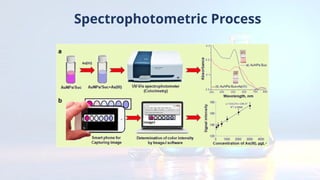 Enzyme assay (Continuous Enzyme Assays).PPT