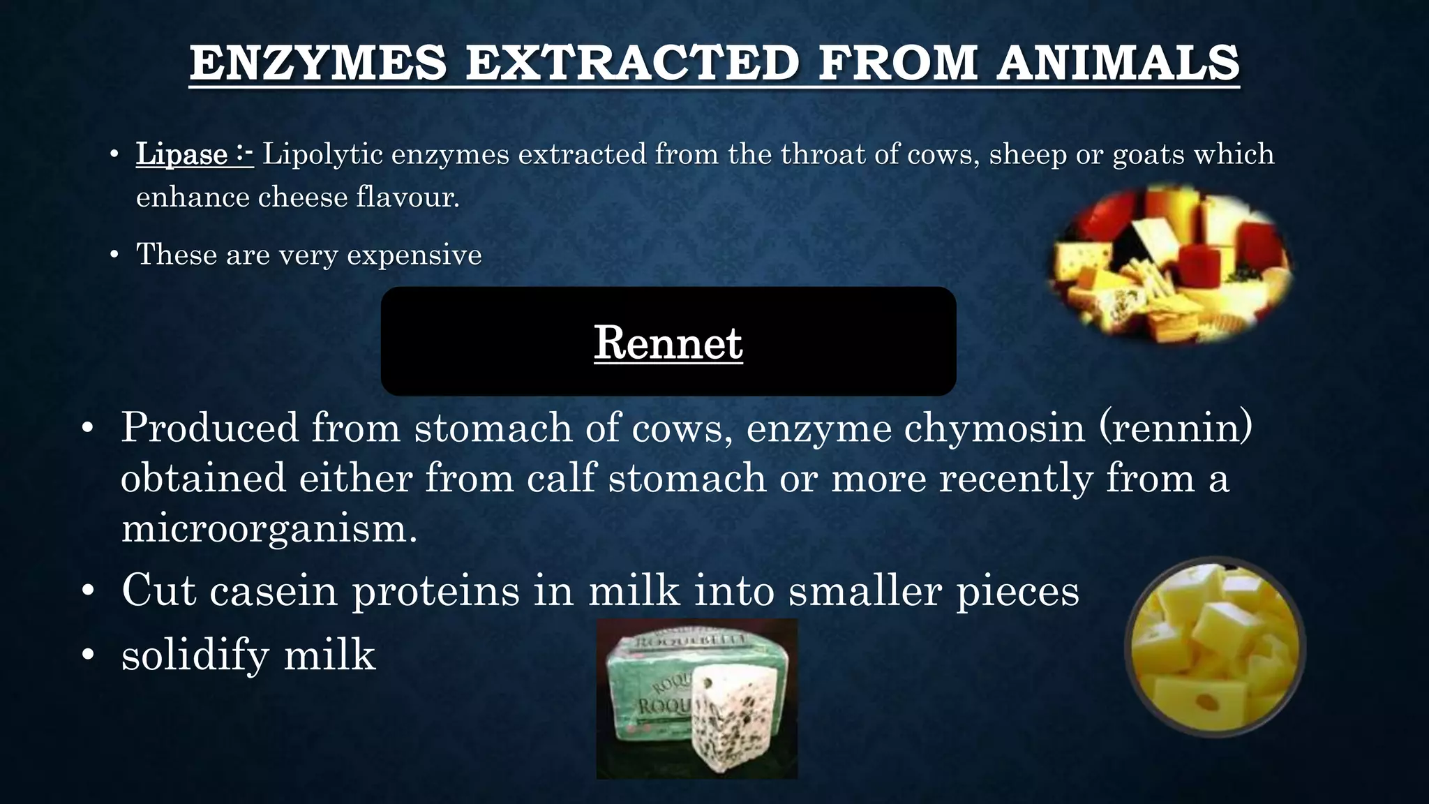 Enzyme technology | PPTX